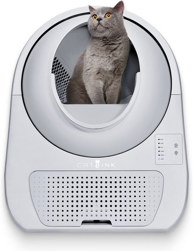 Cat Automatic Litter Boxes - Free shipping | Chewy