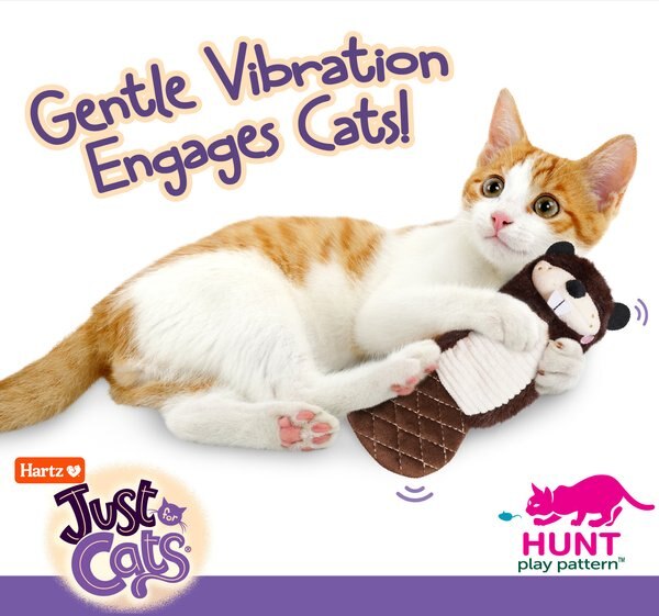 HARTZ Just for Cats The Chucklin' Beaver Motion Activated Kicker Cat ...