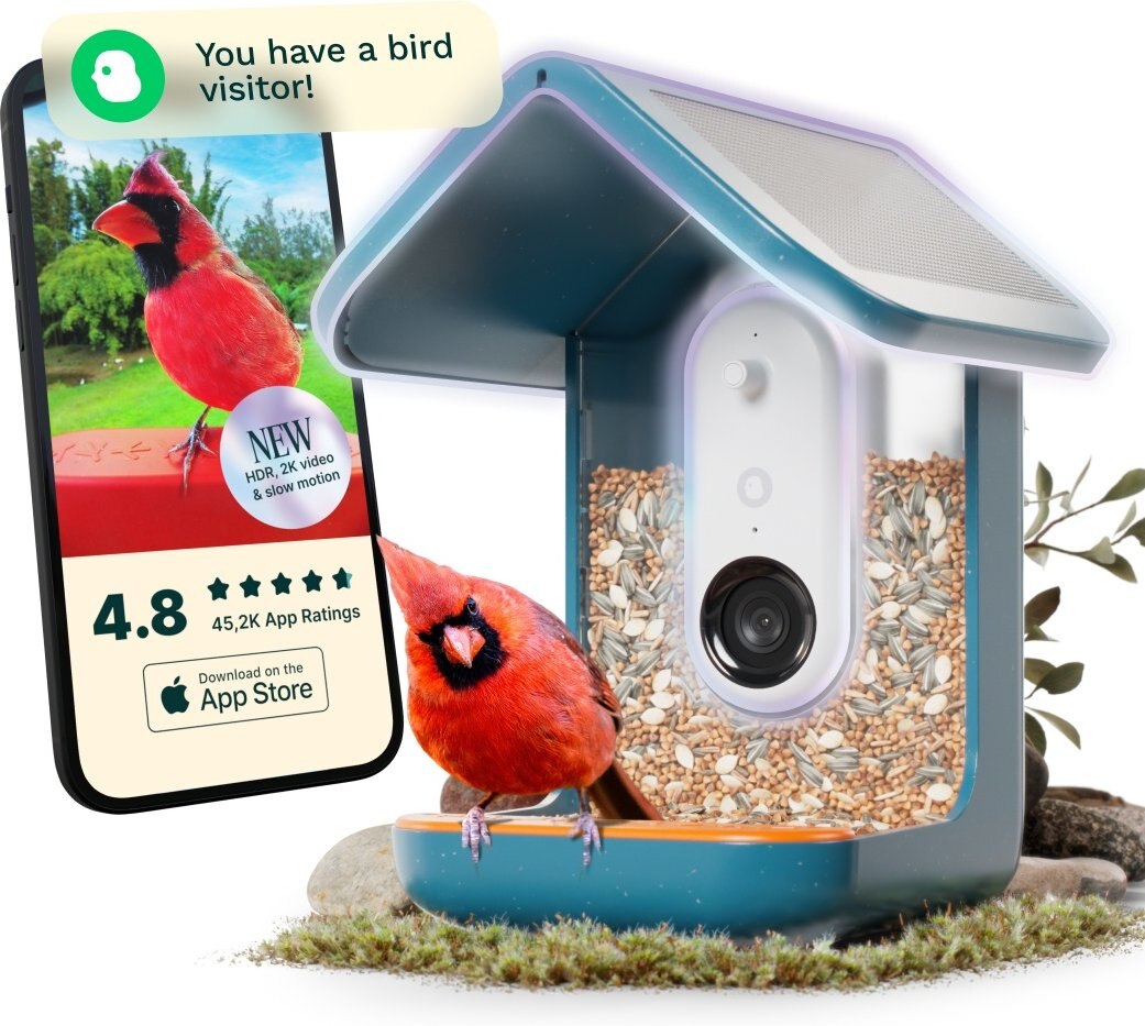 BIRD BUDDY PRO Solar Smart Bird Feeder, Blue - Chewy.com