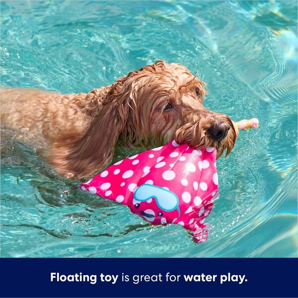 Out of Stock - FRISCO Summer Stingray Neoprene Plush with Rope Squeaky ...