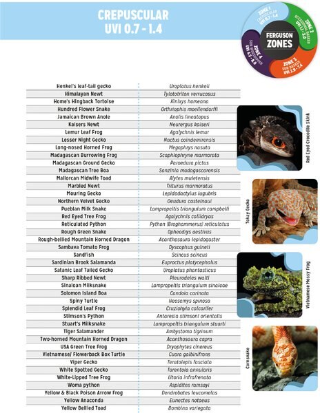 REPTILE SYSTEMS T5 Ferguson Zone 1 2.4% Reptile Lamp, 36-In, 39-watt ...