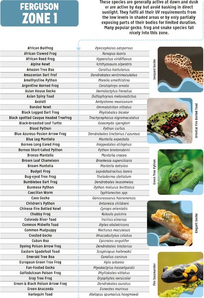 REPTILE SYSTEMS T5 Ferguson Zone 1 2.4% Reptile Lamp, 36-In, 39-watt ...