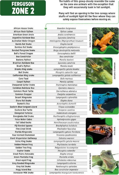 REPTILE SYSTEMS T5 Ferguson Zone 2 6% Forest Reptile Lamp, 45-In, 54 ...