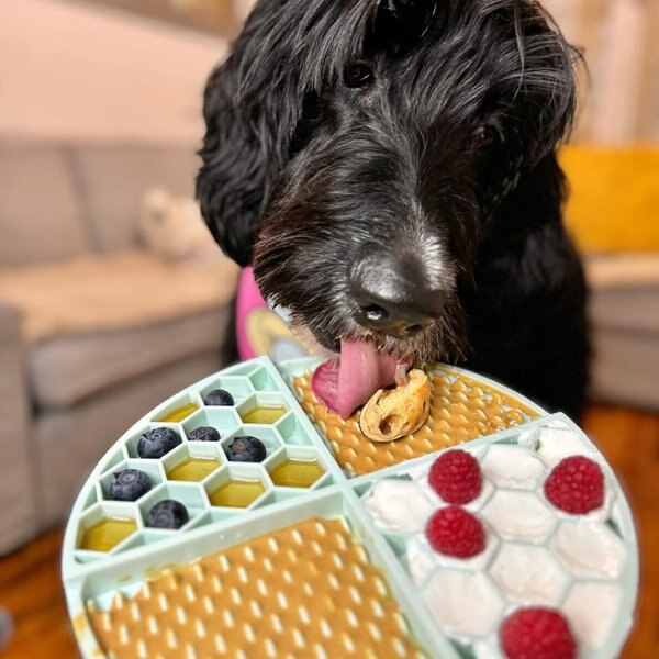 BARK BISTRO COMPANY Relax Rover Peanut Butter Lickable Dog Treat, 4-oz ...