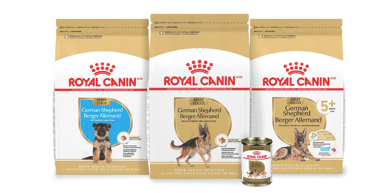 ROYAL CANIN Breed Health Nutrition German Shepherd Adult Dry Dog Food ...