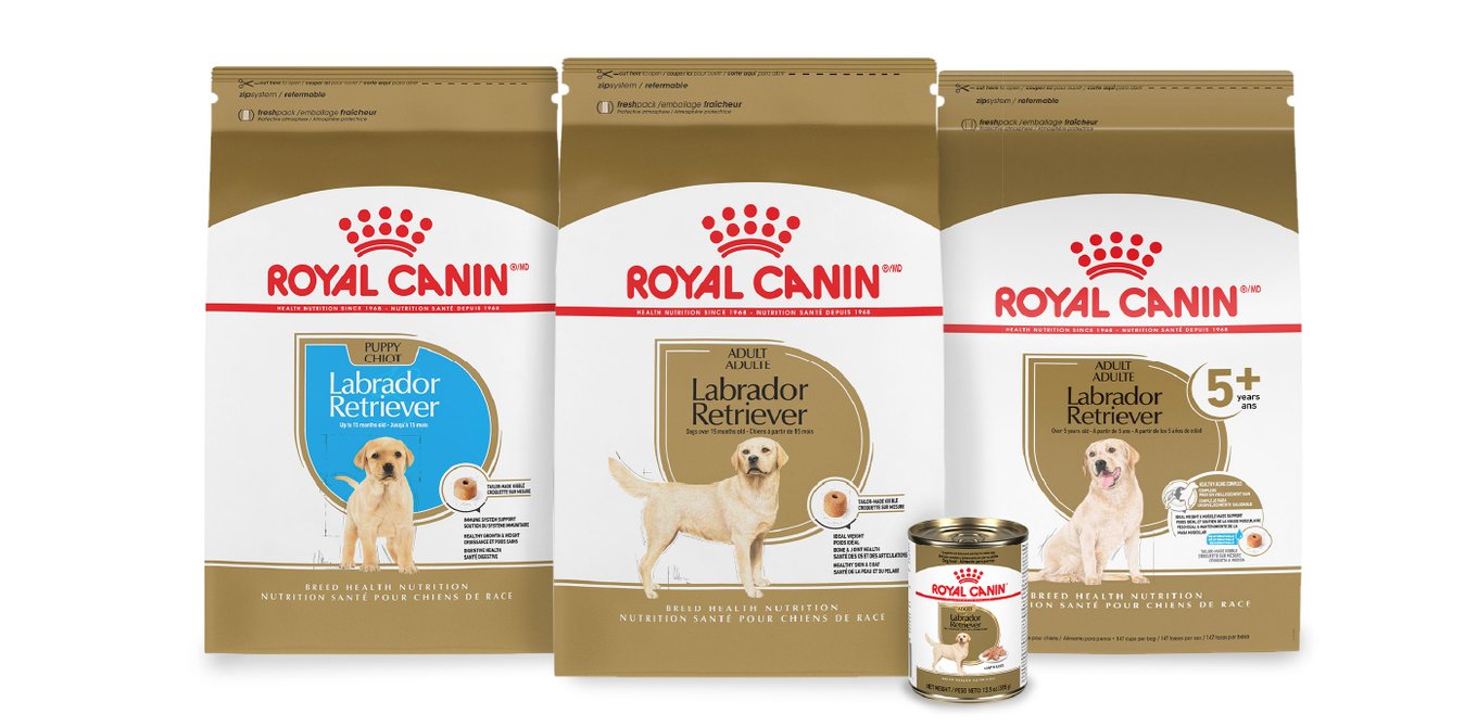 ROYAL CANIN Breed Health Nutrition Labrador Retriever Loaf Pate Adult ...