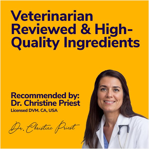 MIRACLE VET Medicated Dog Shampoo for Antibacterial Itchy Skin, Yeast Infection, Hot Spot ...