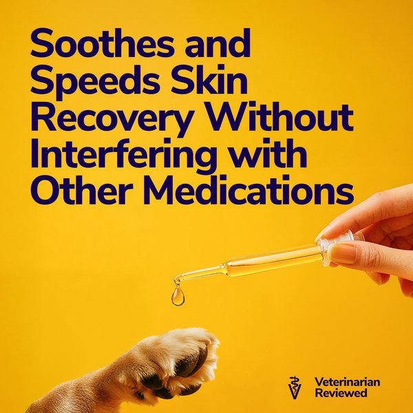 MIRACLE VET Medicated Dog Shampoo for Antibacterial Itchy Skin, Yeast ...