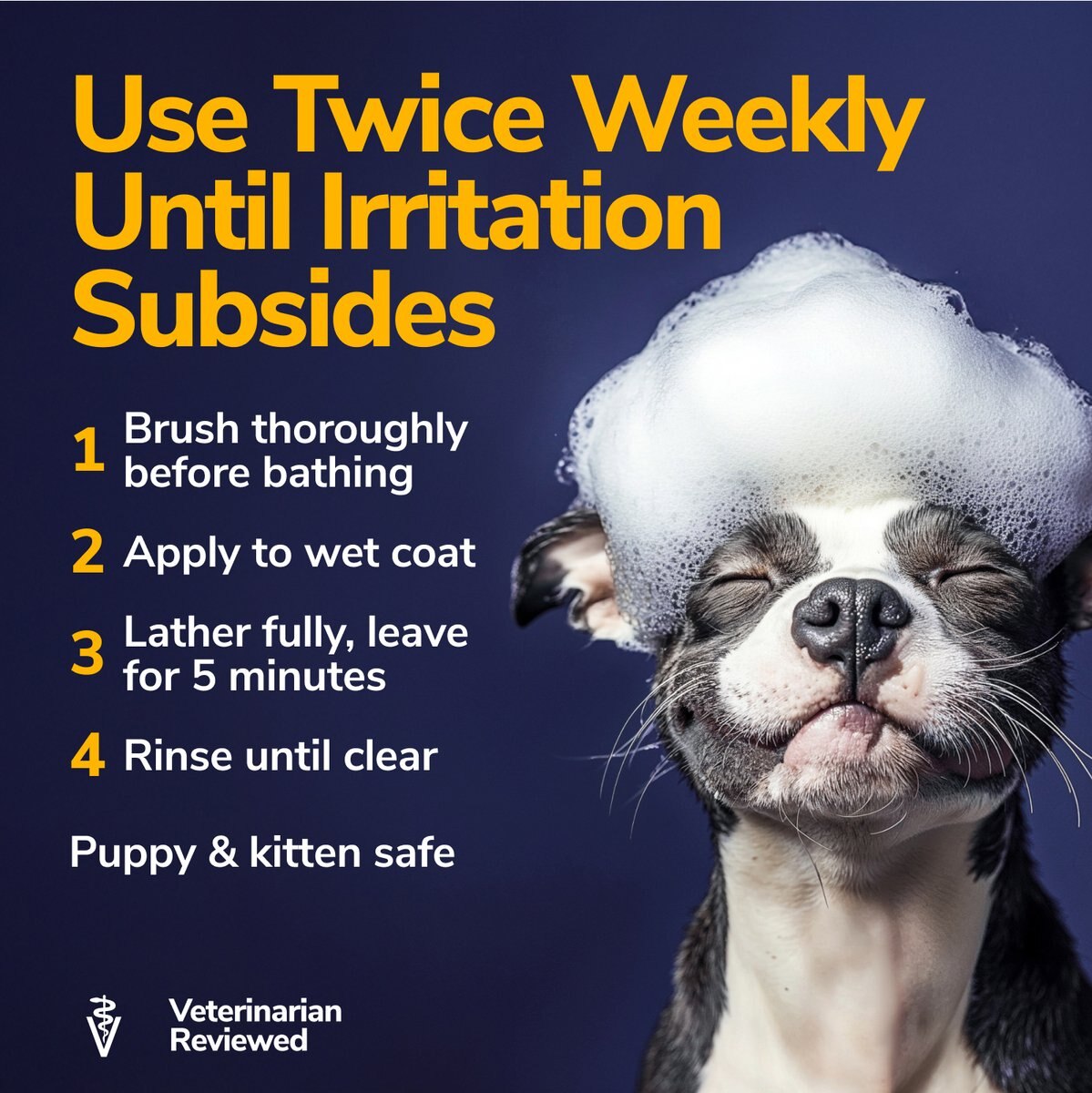 MIRACLE VET Medicated Dog Shampoo for Antibacterial Itchy Skin, Yeast ...