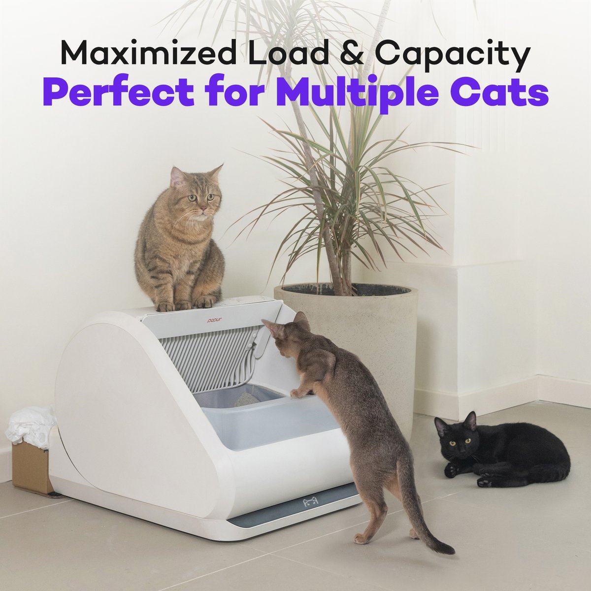 POPUR X5 Self-Cleaning Cat Litter Box - Chewy.com