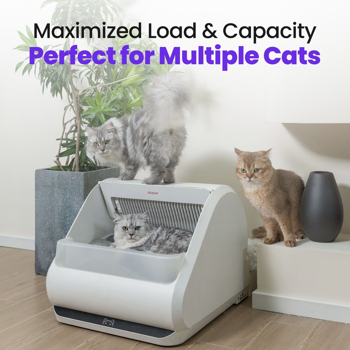 Popur Litter Box Review