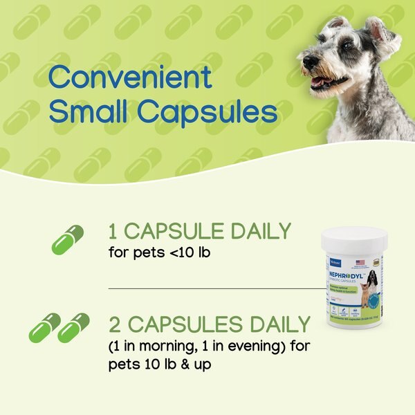 VIRBAC Nephrodyl Synbiotic Capsules for Kidney Support for Dogs & Cats ...
