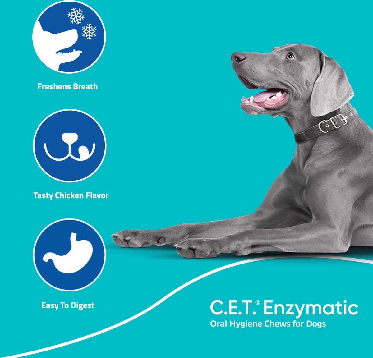 VIRBAC C.E.T. Enzymatic Vanilla Mint Flavored Dog & Cat Toothpaste, 70 ...