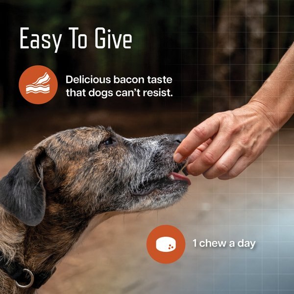 VIRBAC URSOLYX Soft Chew Supplement for Large Breed Dogs, 60 count - Chewy.com