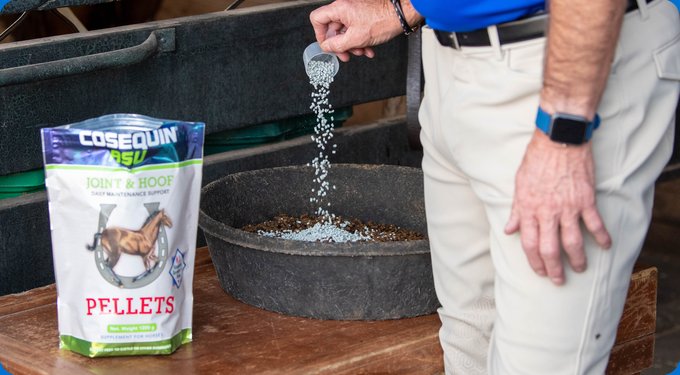 NUTRAMAX Cosequin ASU Powder Joint Health Supplement for Horses, 2.86 ...