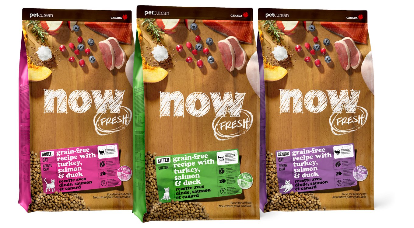 NOW FRESH Grain-Free Senior Dry Cat Food, 16-lb bag - Chewy.com
