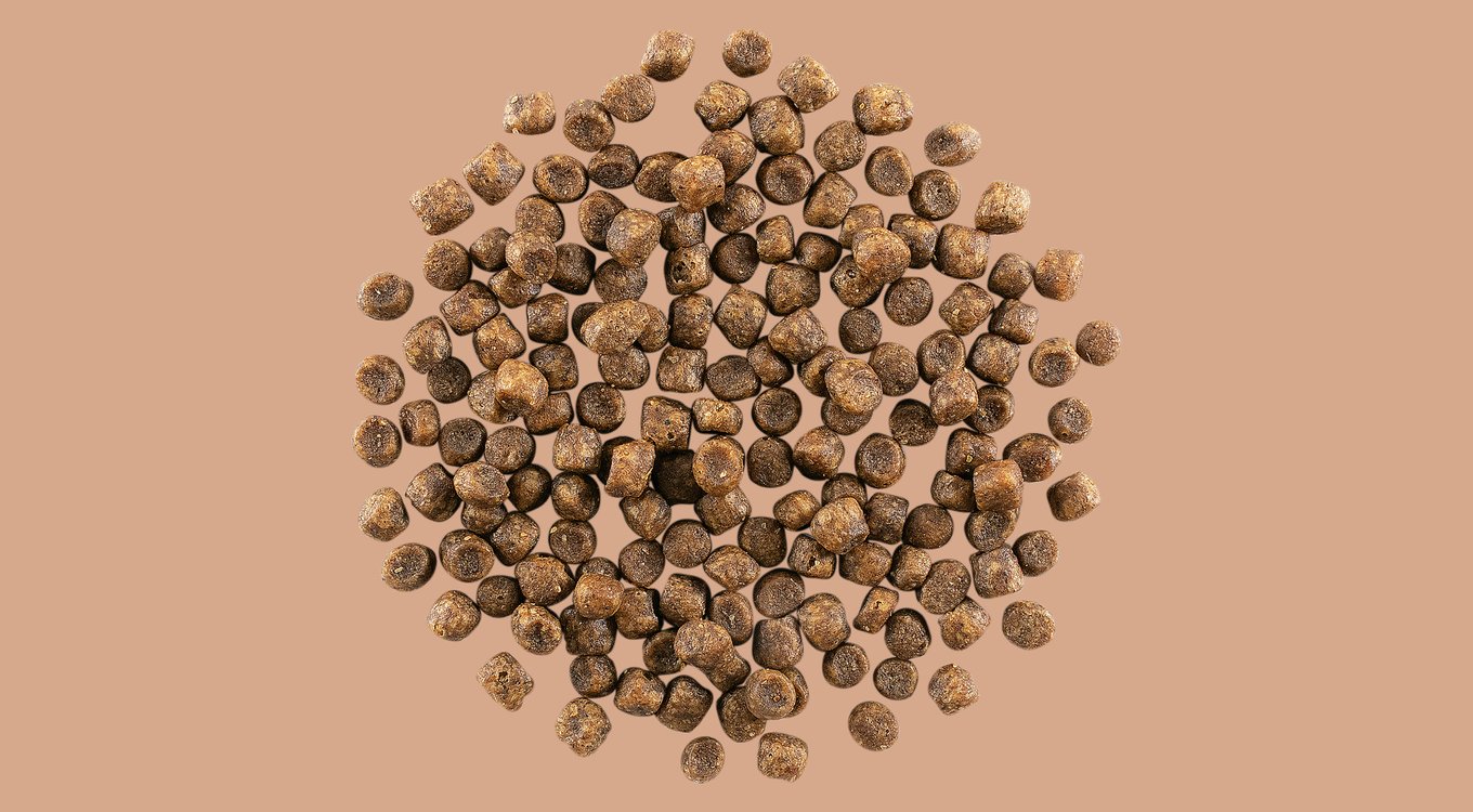 NOW FRESH Grain-Free Senior Dry Cat Food, 16-lb bag - Chewy.com