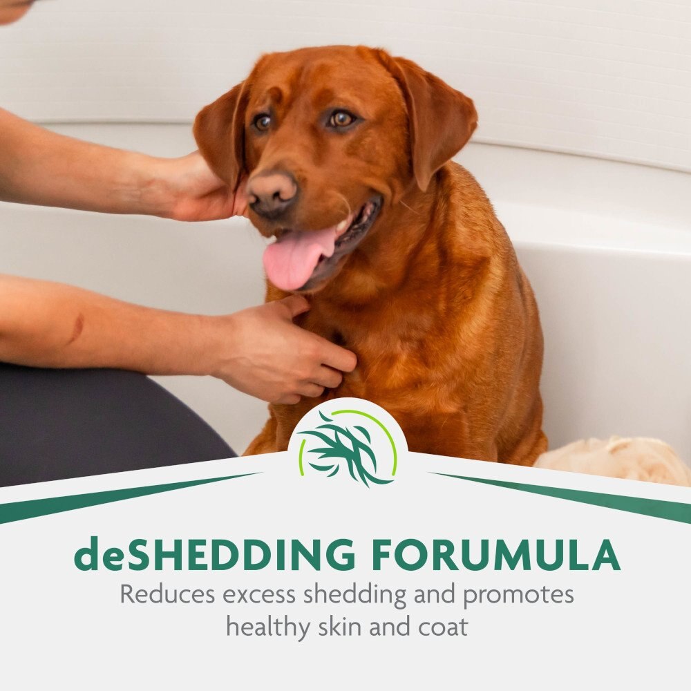 FURMINATOR Deshedding Dog Shampoo, 16-fl oz bottle - Chewy.com