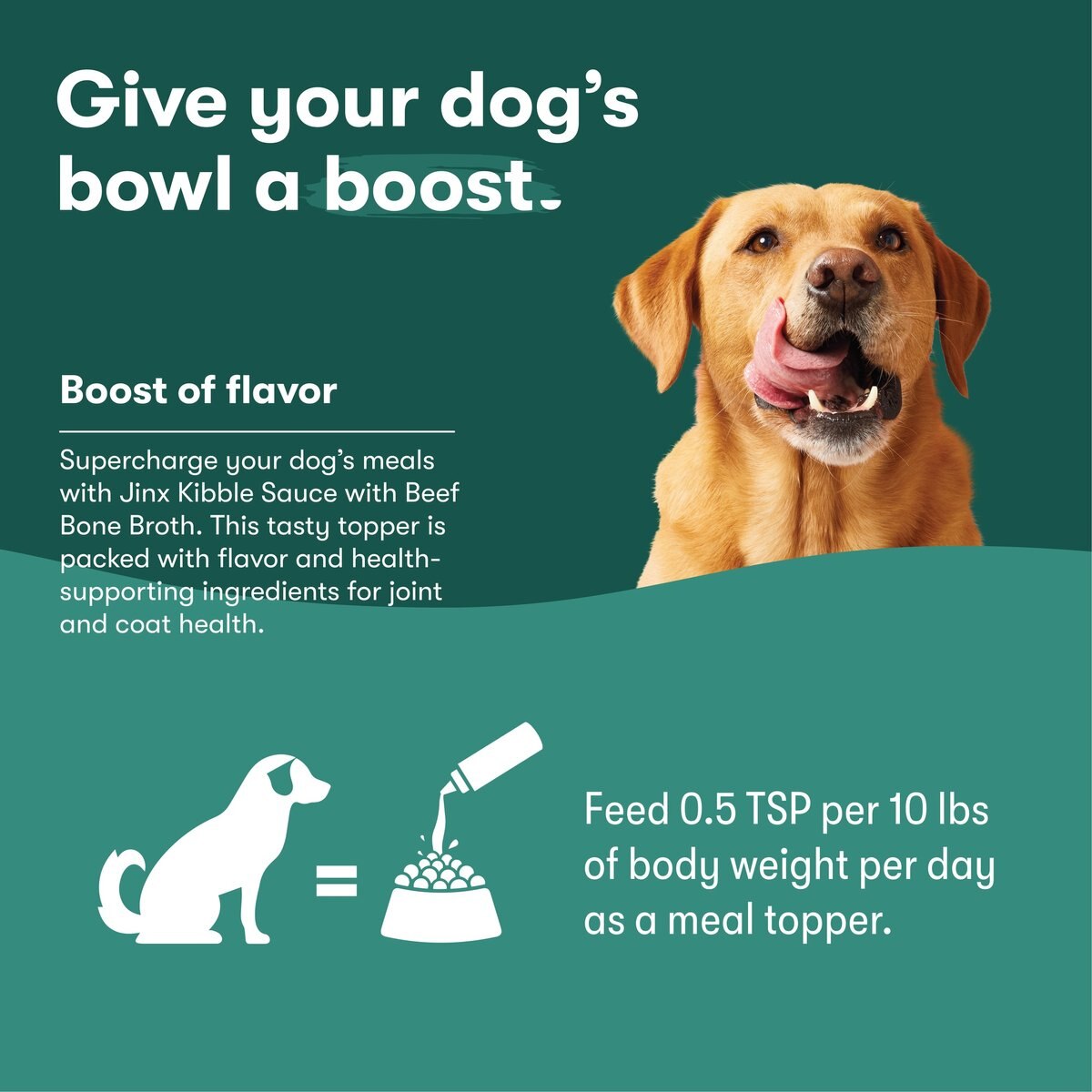 JINX Kibble Sauce Beef Bone Broth Wet Dog Food Topper, 12-fl oz bottle ...