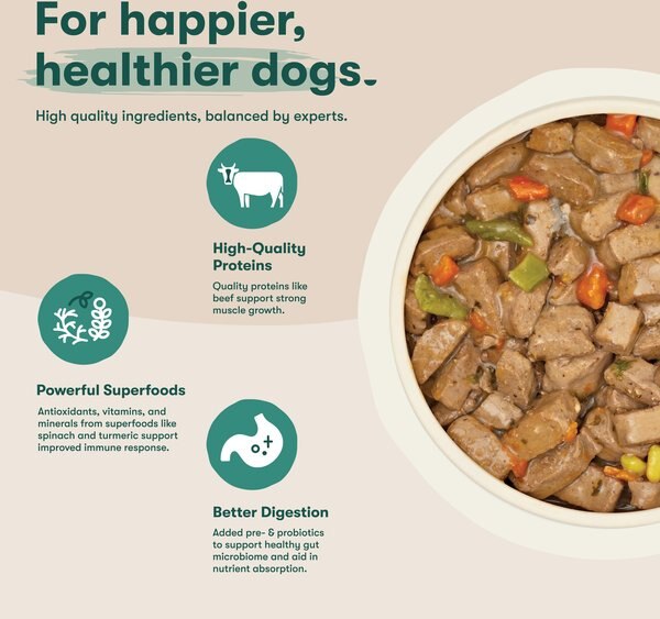 JINX Bone Broth Stew with Beef & Vegetables Grain-Free Wet Dog Food, 13 ...