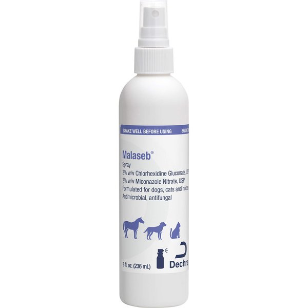 MICONAHEX+TRIZ Mousse for Dogs & Cats, 7.1-oz bottle - Chewy.com