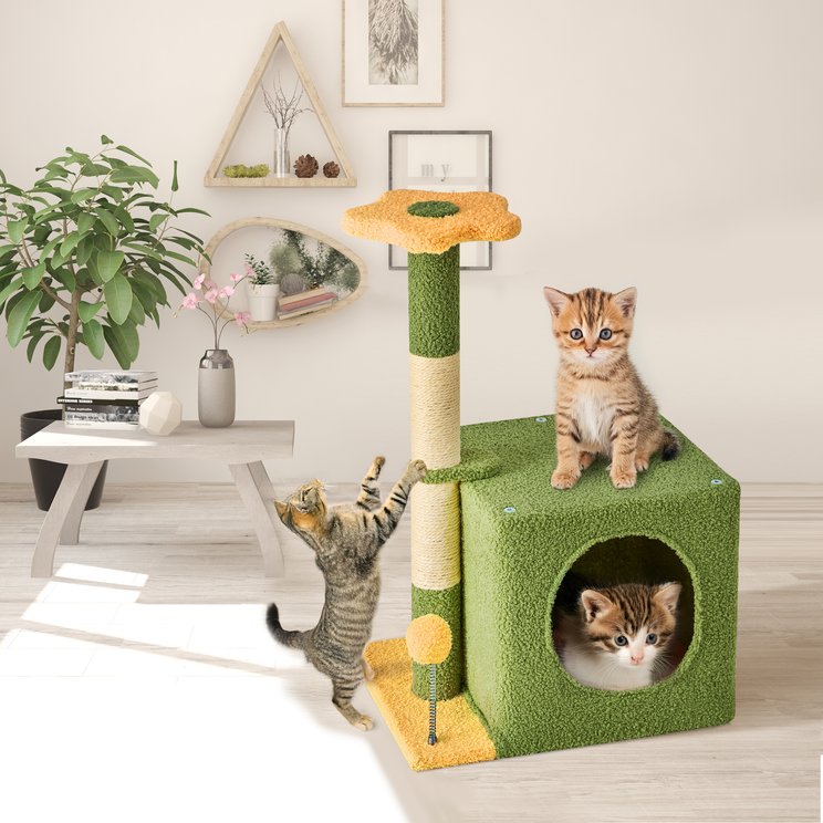 Cat Trees - Free shipping | Chewy