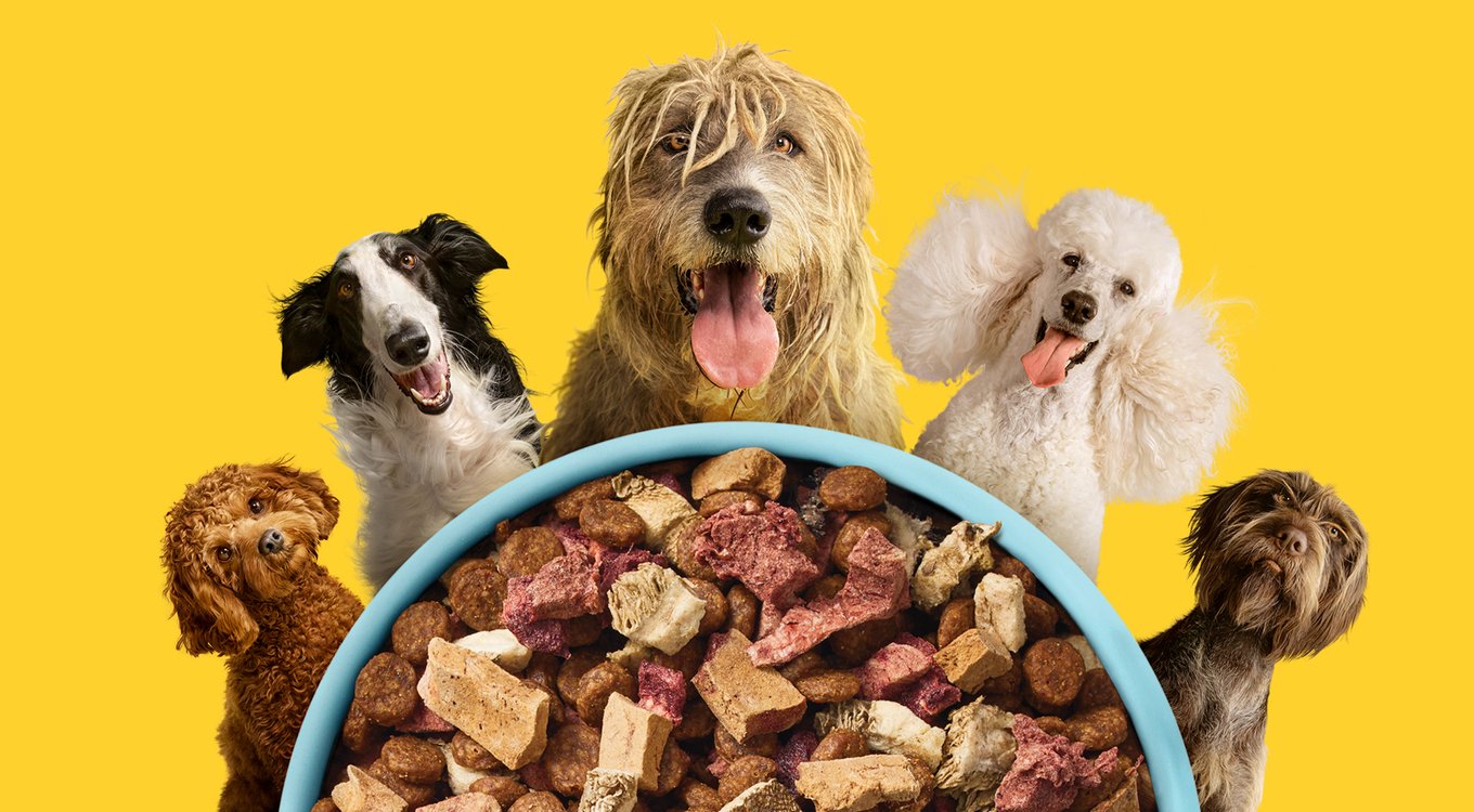 ANIMALS LIKE US RawMix50 with Cage-Free Chicken Grain-Free Freeze-Dried ...