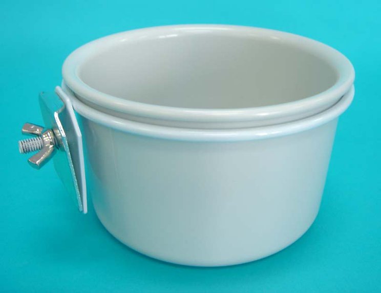 Bird Bowls (Free Shipping) | Chewy