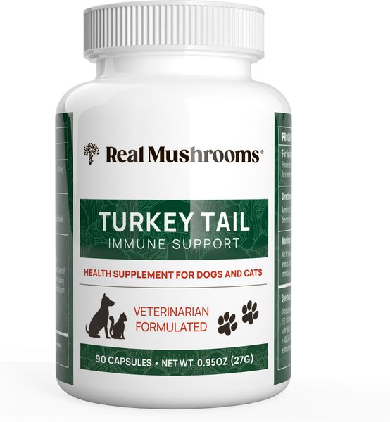 REAL MUSHROOMS Turkey Tail Capsule Immune Supplement for Dogs & Cats ...