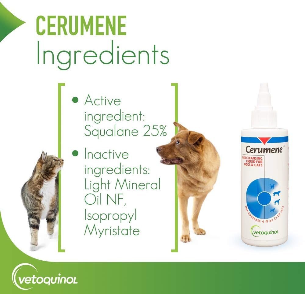 VETOQUINOL Cerumene Ear Cleaner for Dogs & Cats, 4-fl oz bottle - Chewy.com