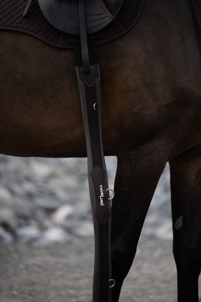 THINLINE Anatomic Hunter Jumper Girth, Dark Brown, 46-in - Chewy.com