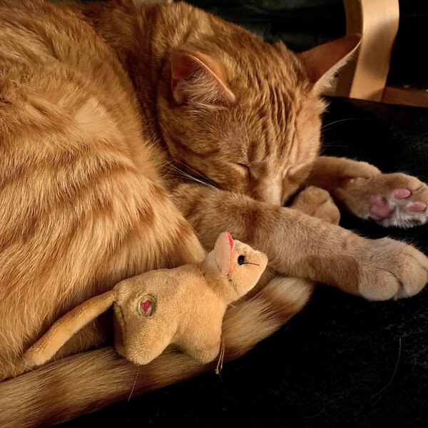 HUGGLEKATS Wee Squooshie Mice Cat Toy, 2 count - Chewy.com