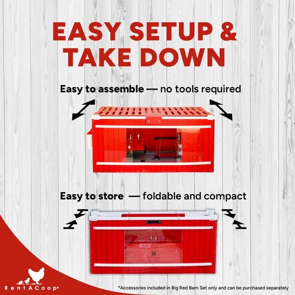 RENTACOOP Big Red Barn Folding Chick Brooder, Large - Chewy.com