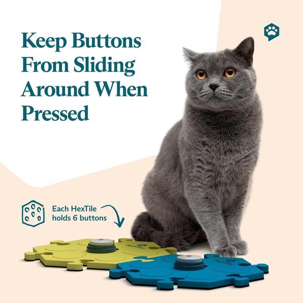 Discontinued - FLUENTPET Tester Kit Talking Buttons Dog Toy - Chewy.com