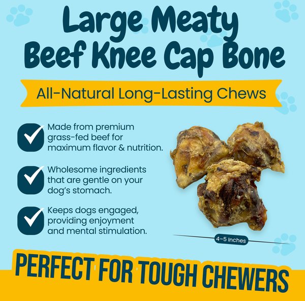 HOTSPOT PETS Meaty Beef Knee Cap Bones Dog Chew Treats, Large, 6 count ...