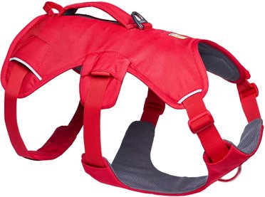 Dog Harness With Handle (Free Shipping) | Chewy