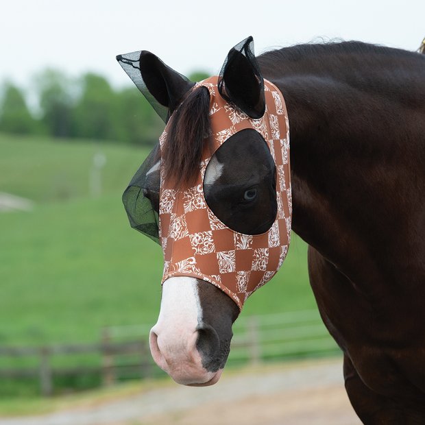 Weaver Equine - Free shipping | Chewy