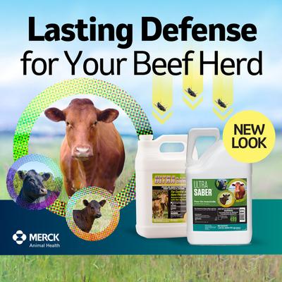 ULTRA SABER Pour-On Insecticide Fly & Insect Control for Cattle, 5 ...