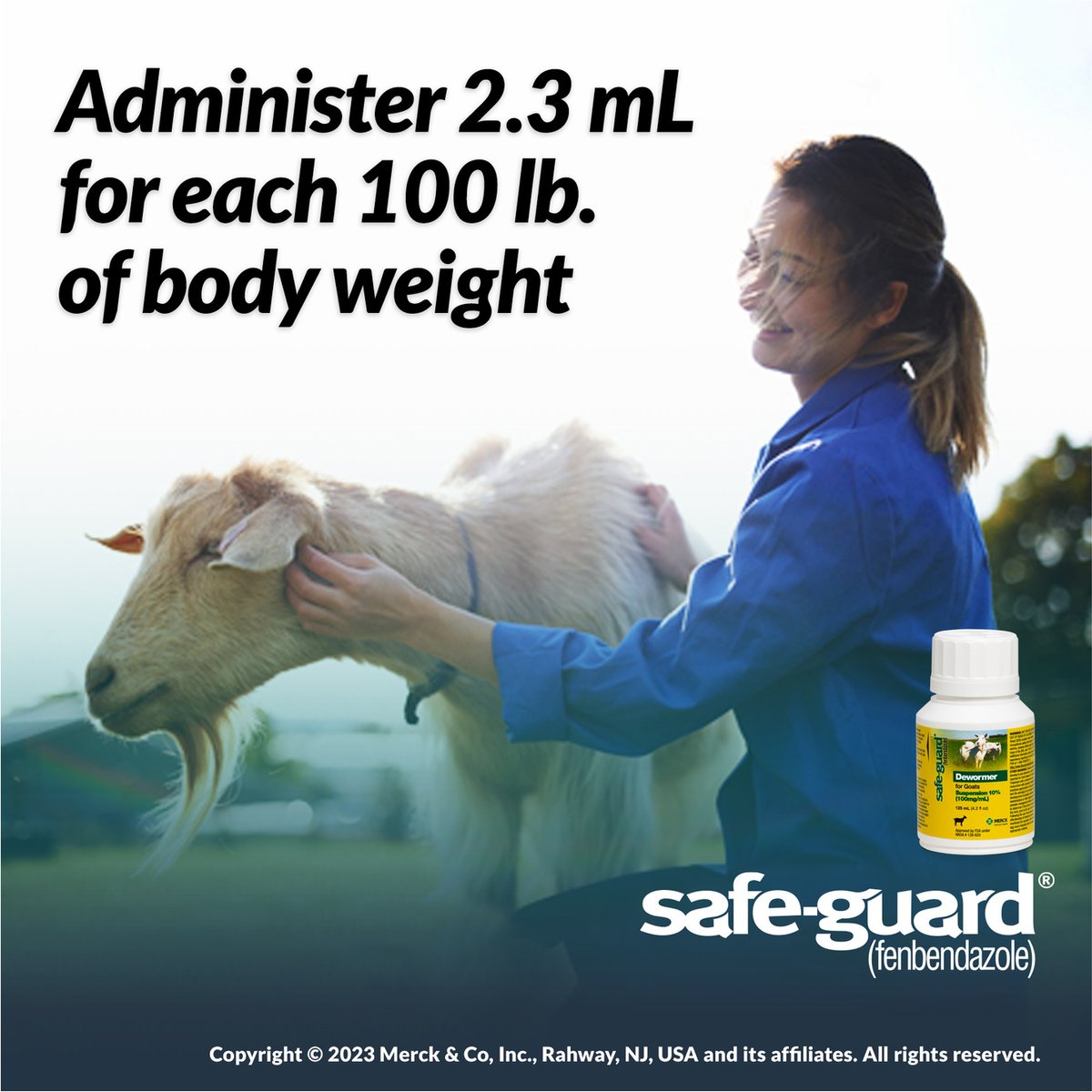 SAFE-GUARD Deworming Suspension for Goats, 125-mL bottle - Chewy.com