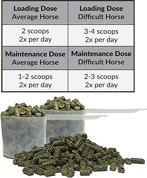 PERFECT PRODUCTS Perfect Prep EQ Gold Complete Calming Pellets Horse ...