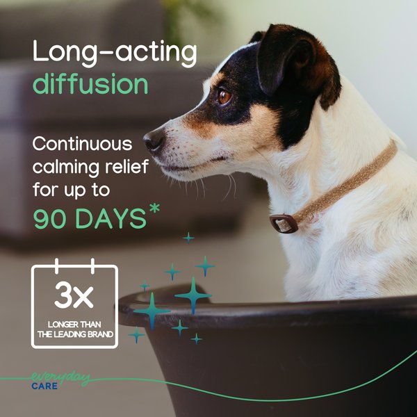 VIRBAC Zenidog Long-Acting Calming Collar for Dogs, Small: up to 18.3 ...