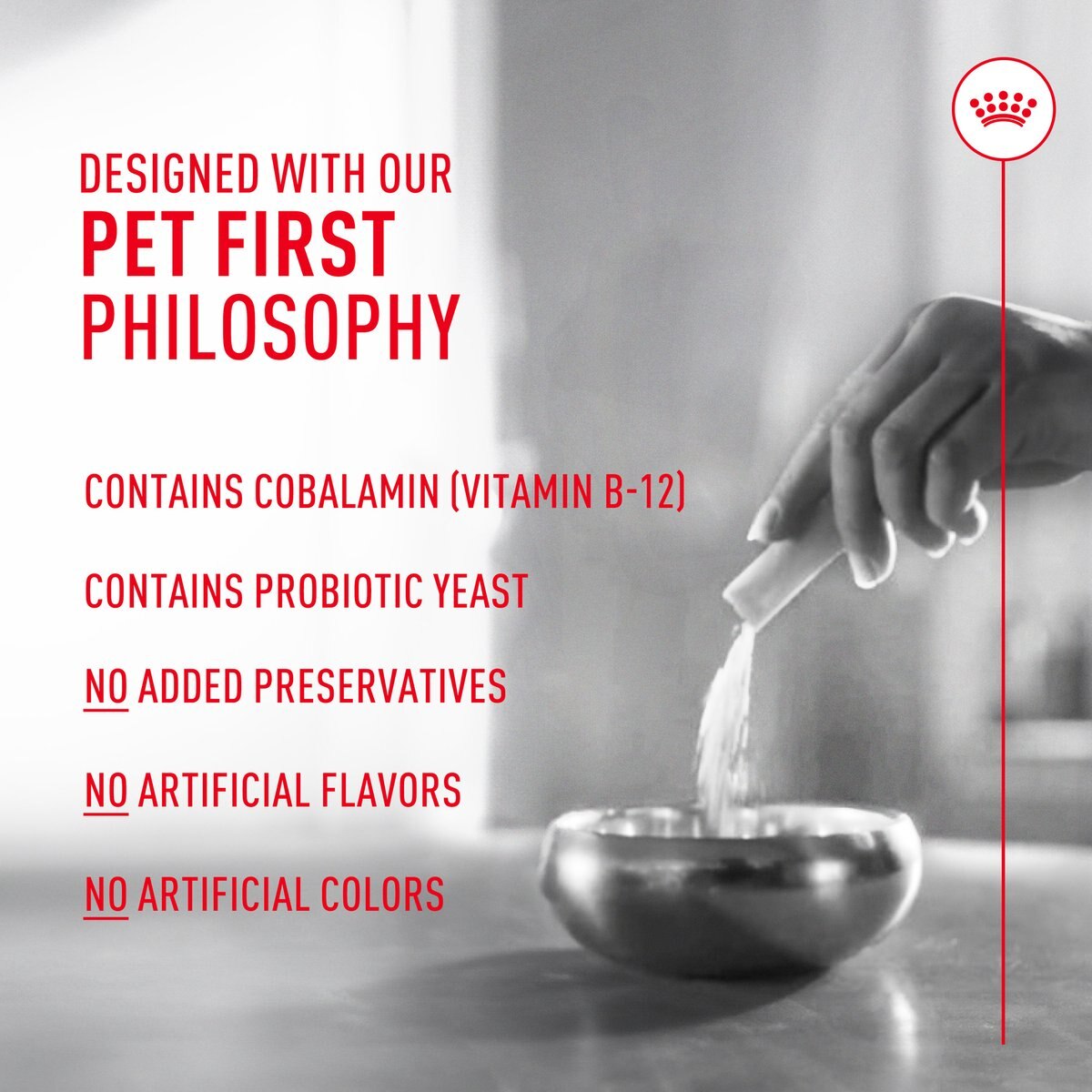 ROYAL CANIN Probiotics Digestive & Immune Health Powder Supplement for ...