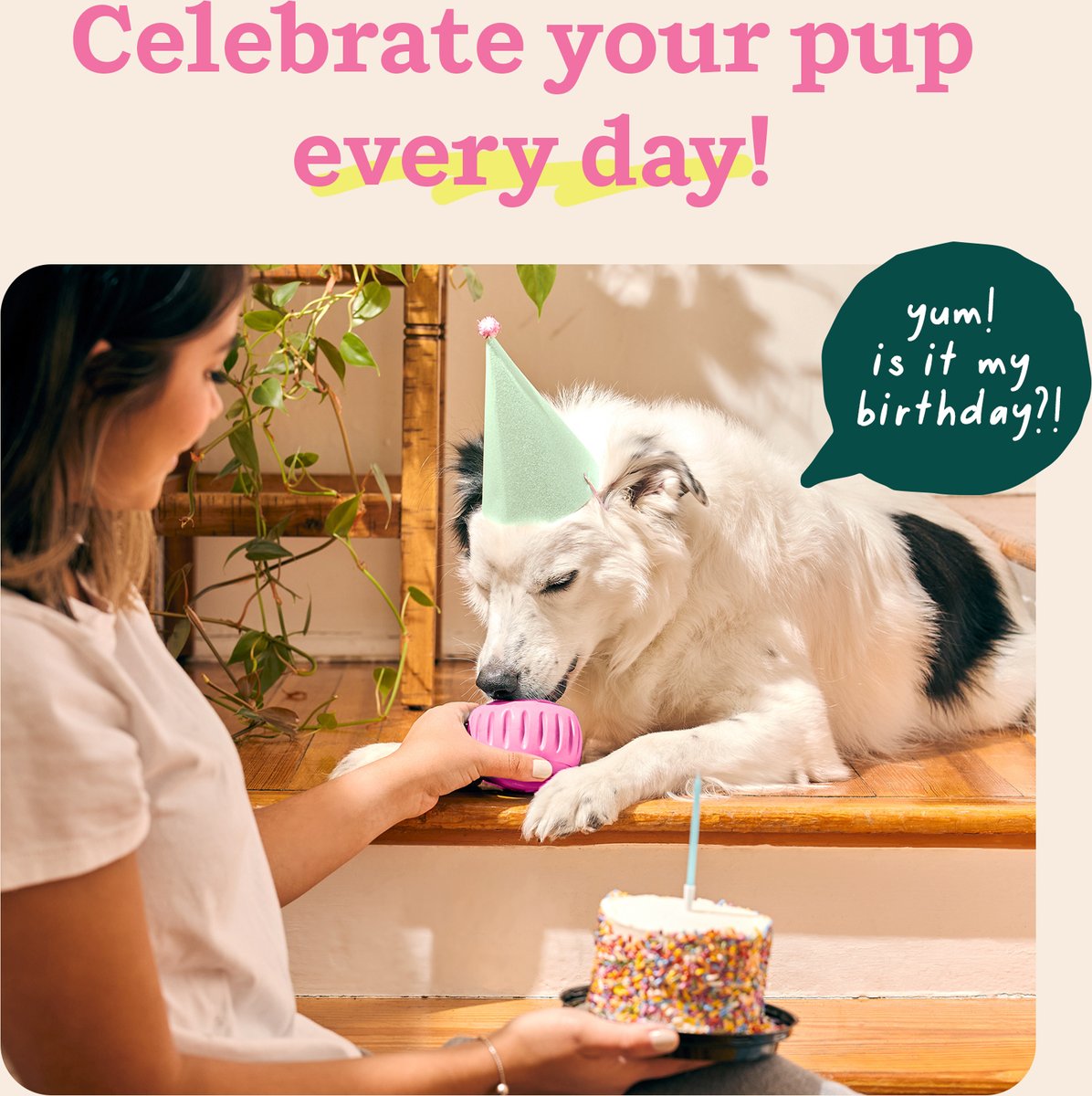 WOOF Party Pupsicle Treat Dispensing Dog Toy, Party Pink, X-Large ...