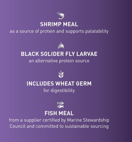 MAZURI Koi Premium Large Fish Food, 20-lb bag - Chewy.com