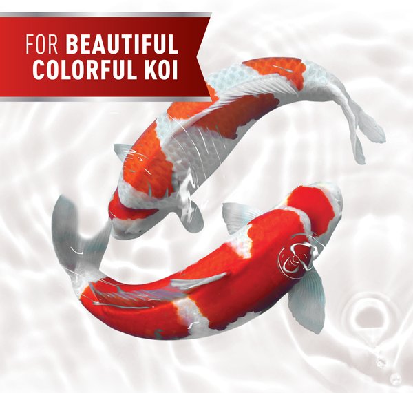 MAZURI Koi Premium Medium Fish Food, 20-lb bag - Chewy.com
