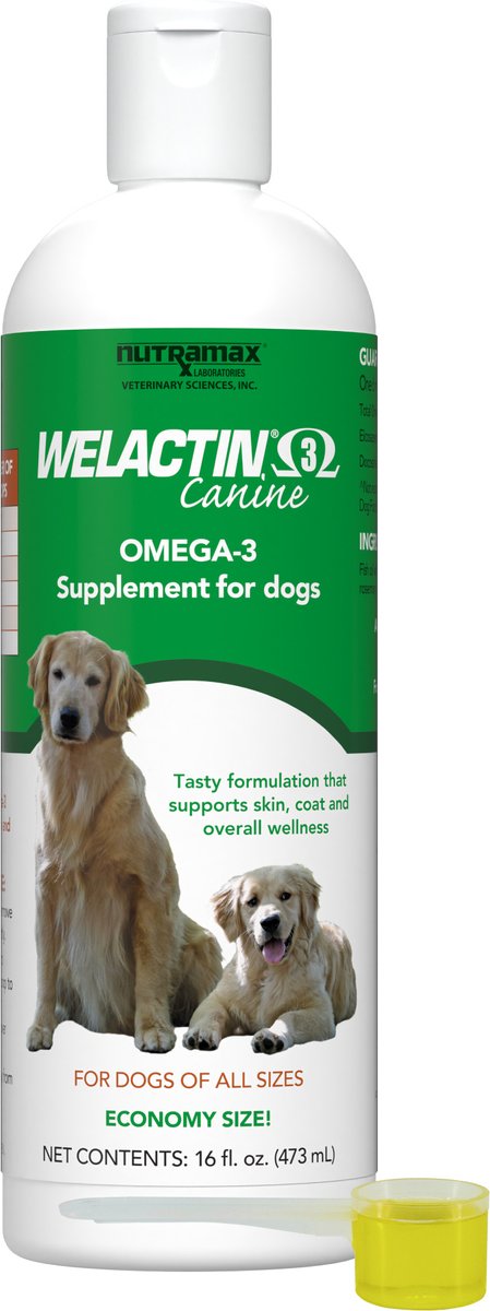 NUTRAMAX Welactin Omega-3 Liquid Skin & Coat Supplement for Dogs, 16-fl ...