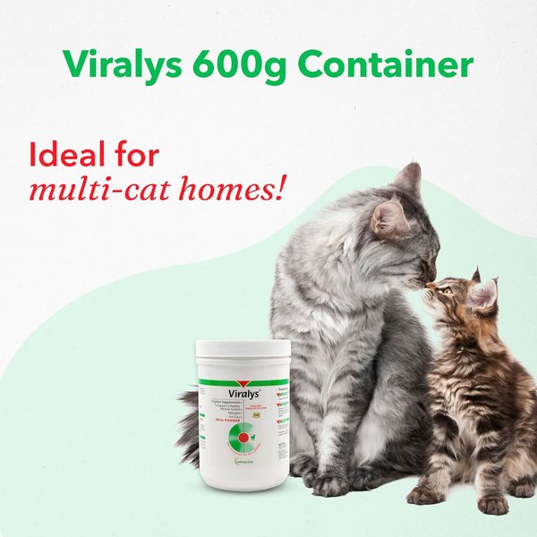 VETOQUINOL Viralys Powder Immune Supplement for Cats, 21.2-oz - Chewy.com