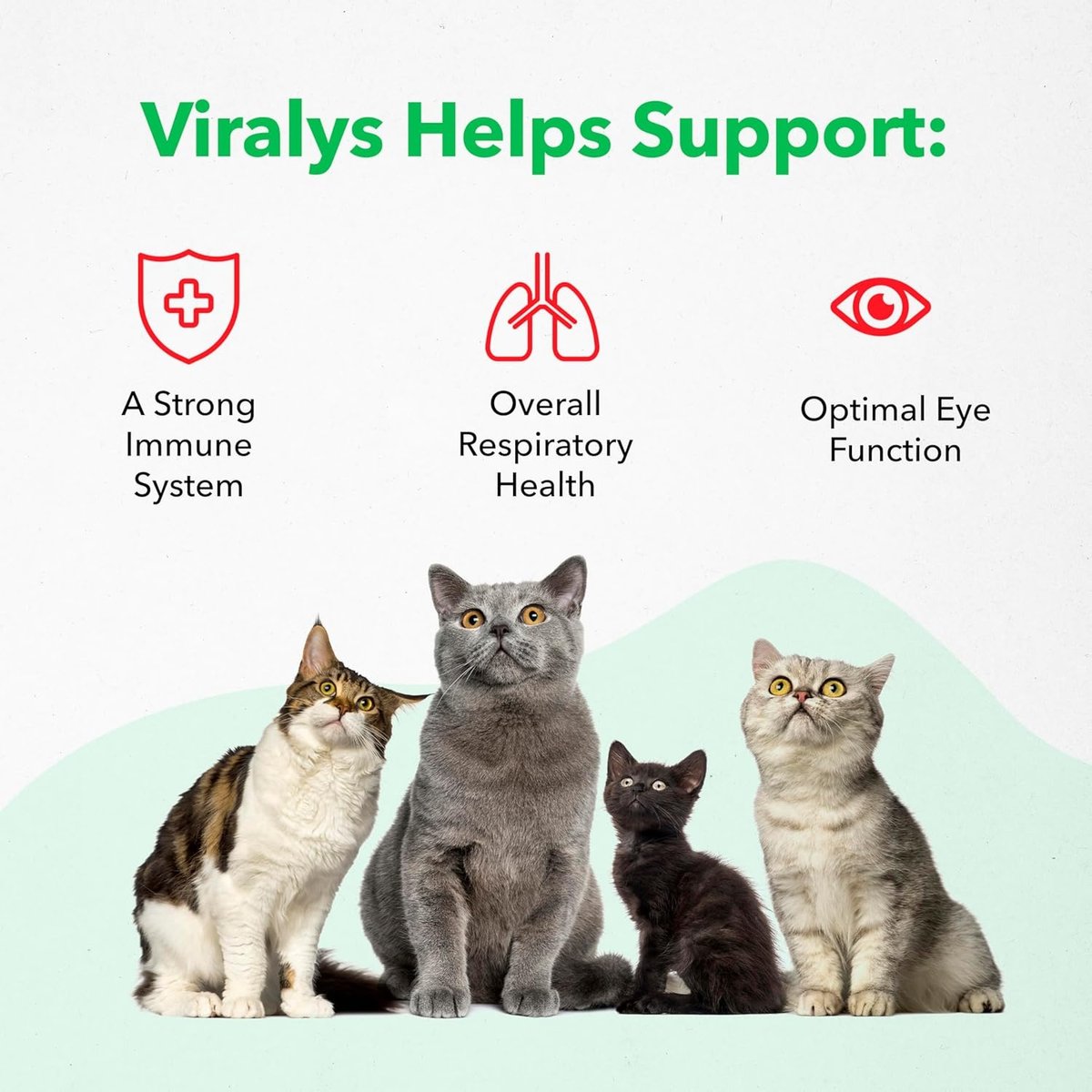 Vetoquinol Viralys (L-Lysine) Oral Gel for Cats (Free Shipping) | Chewy