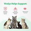 Vetoquinol Viralys (L-Lysine) Oral Gel for Cats (Free Shipping) | Chewy