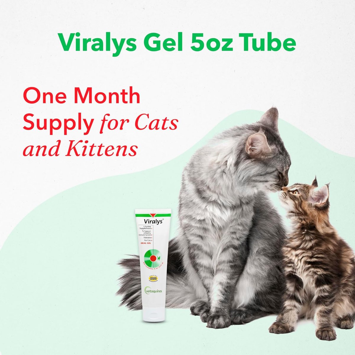 Vetoquinol Viralys (L-Lysine) Oral Gel for Cats (Free Shipping) | Chewy
